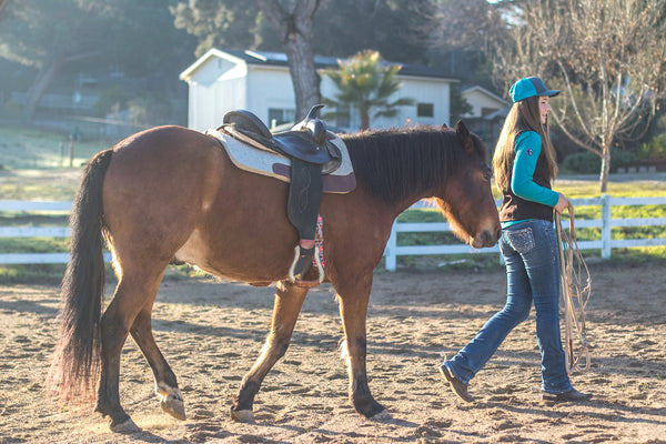 How to Correctly Round Pen a Horse - Andrea Cao - Andrea Equine