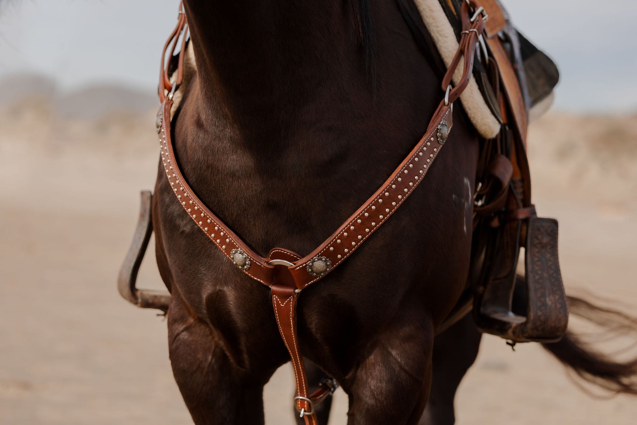 California Dotted Chocolate Harness Breast Collar - Andrea Equine