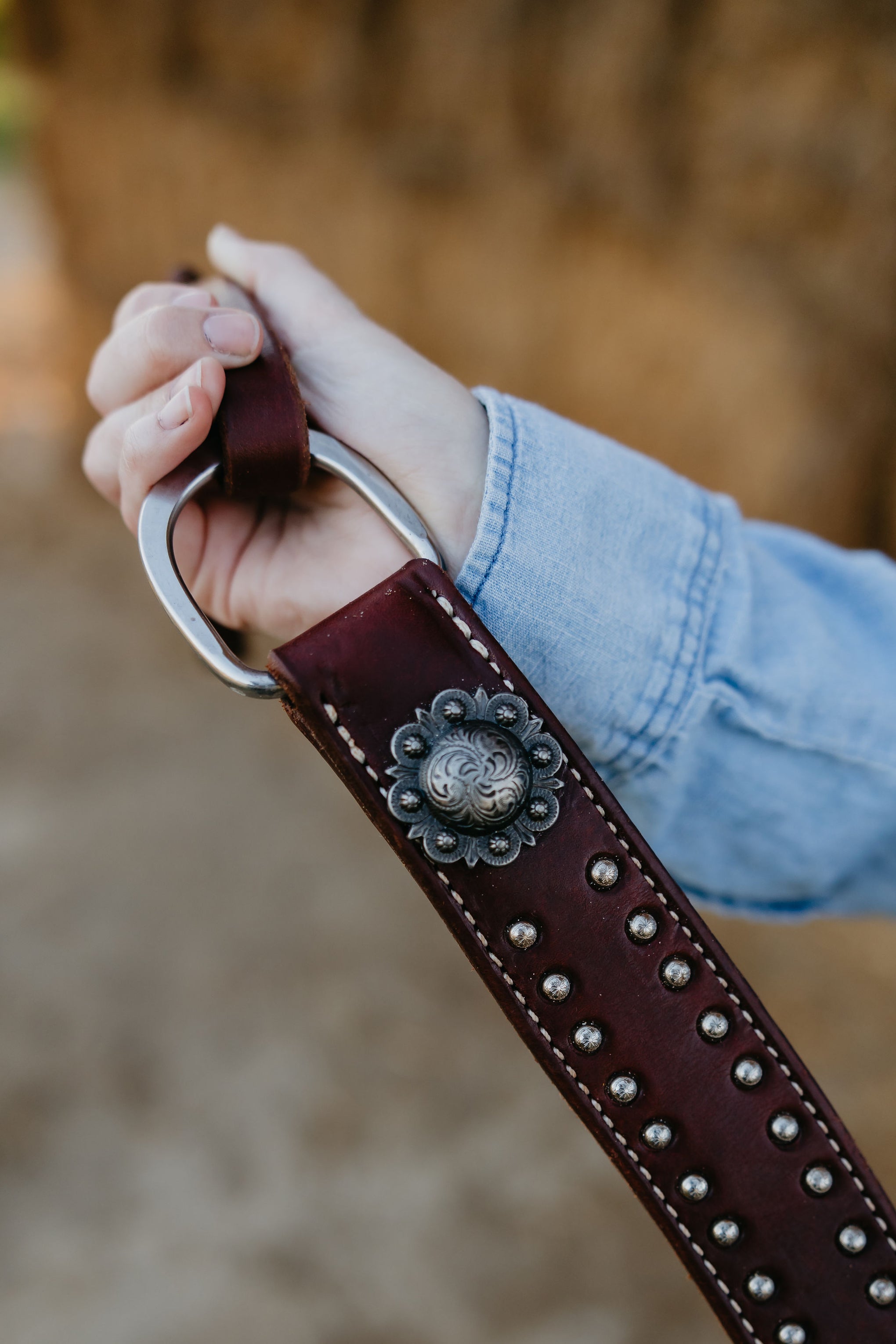California Dotted Chocolate Harness Breast Collar - Andrea Equine