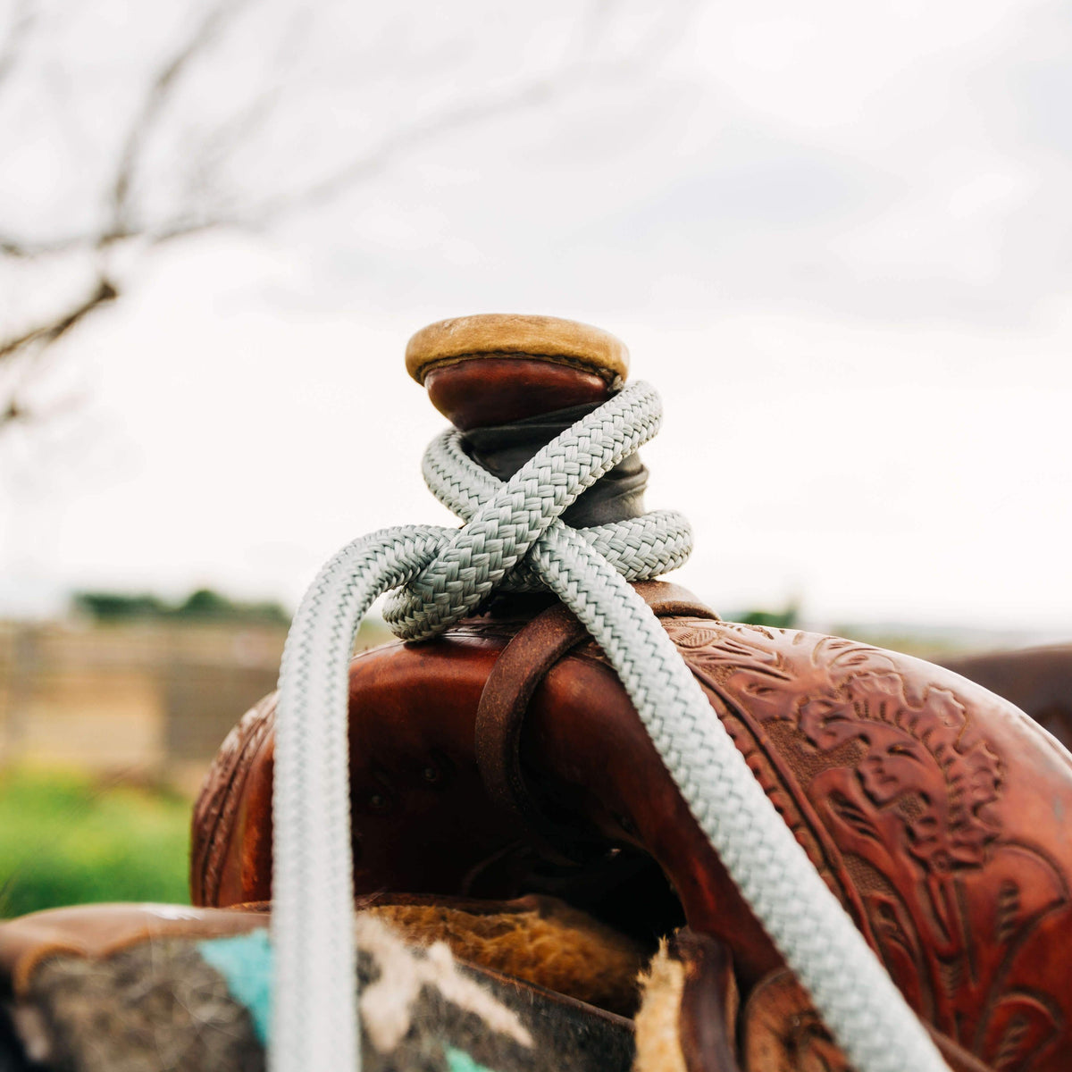 10 Ft Clinician Loop Reins - Andrea Equine